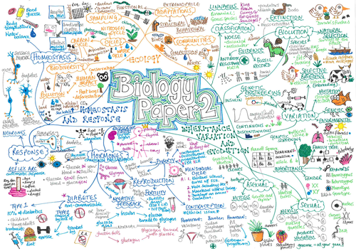 AQA Combined Science B2 (Paper2) Mindmap | Teaching Resources