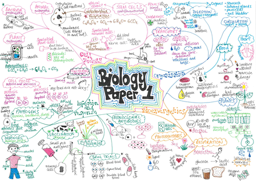 AQA Combined Science B1 (Paper1) Mindmap | Teaching Resources