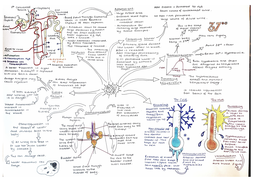 SB7 Revision mIndmap Hormones and Control, Edexcel 9 - 1 Biology ...