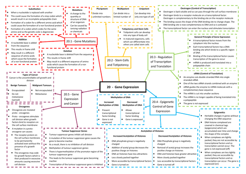 Complete Biology Revision Mind Map Set - AQA AS/A Level Biology (7041/ ...