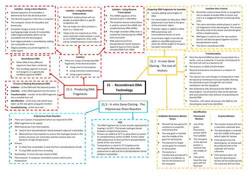 Recombinant DNA Technology Revision Mind Map - AQA AS/A Level Biology ...