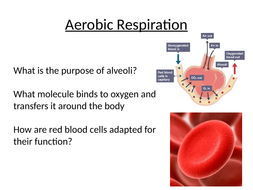 AQA 9-1 Biology Aerobic Respiration Lesson | Teaching Resources