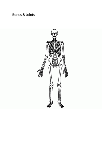 BTEC Sport Level 3 Unit 1 Anatomy & Physiology Learning Aim A: Bones | Teaching Resources