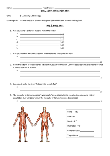 BTEC Sport Level 3 Anatomy & Physiology Learning Aim B: Muscles | Teaching Resources