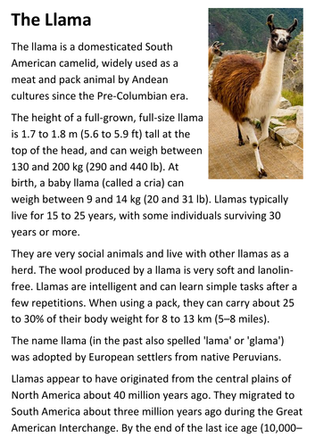 Llama Handout | Teaching Resources
