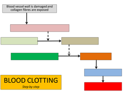 Blood clotting (GCSE) | Teaching Resources