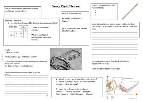 AQA Trilogy Biology Paper 2 Revision Mat GCSE | Teaching Resources