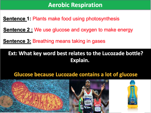 Aerobic Respiration | Teaching Resources