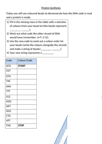 Protein Synthesis Bead Activity Sheet Using Nucleotides and Codons GCSE ...