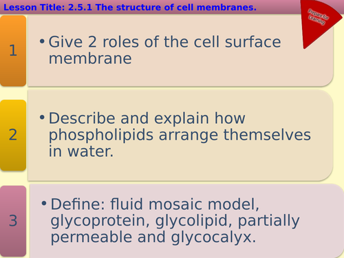 2.5 Cell Membranes Lessons Biology OCR A Level | Teaching Resources