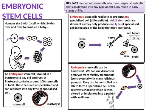 2.6 Cell Division Lessons Biology A Level OCR A | Teaching Resources
