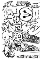 Animal Classification Colouring/ Activity Sheets | Teaching Resources