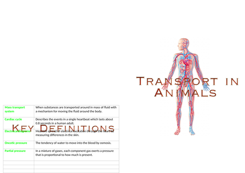 Transport in Animals Booklet AS Biology OCR | Teaching Resources
