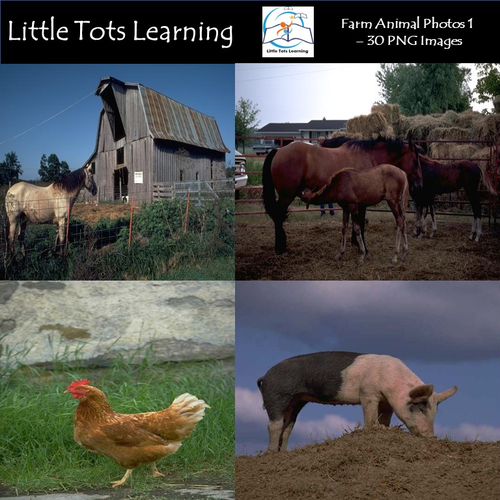 Farm Animal Photos - Photo Pack 1 - Personal or Commercial Use ...