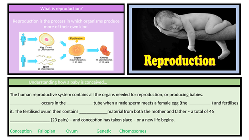 Reproduction | Teaching Resources Reproduction | Teaching Resources