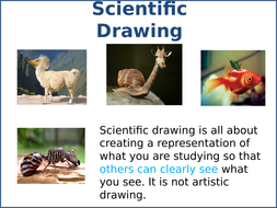 Scientific Diagrams (KS2) | Teaching Resources