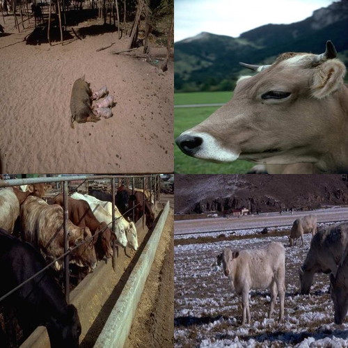 Farm Photos - Farming Photos - Personal or Commercial Use | Teaching ...