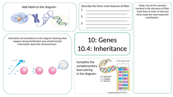 KS3 AQA Activate 2 Evolution part 2 revision mats | Teaching Resources