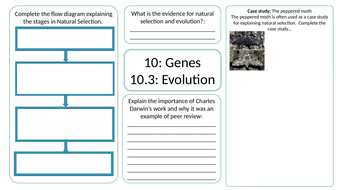 KS3 AQA Activate 2 Evolution part 2 revision mats | Teaching Resources