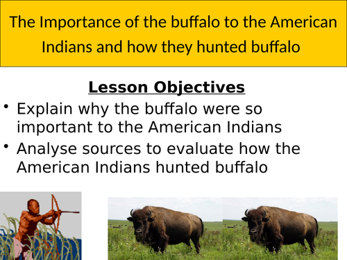 The Importance of the Buffalo | Teaching Resources