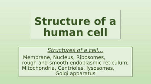 Human cell ultrastructure and functions presentation | Teaching Resources