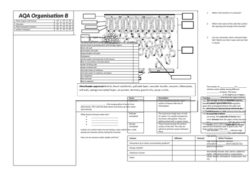 AQA Combined Science Trilogy GCSE - Biology Revision Sheets | Teaching ...