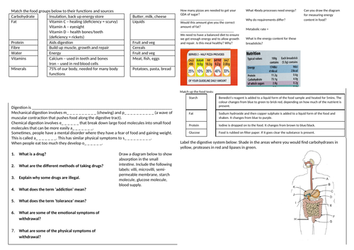 KS3 Health, Diet and Digestion Revision Sheet | Teaching Resources