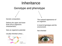 A level intro to genetic inheritance, terms examples | Teaching Resources