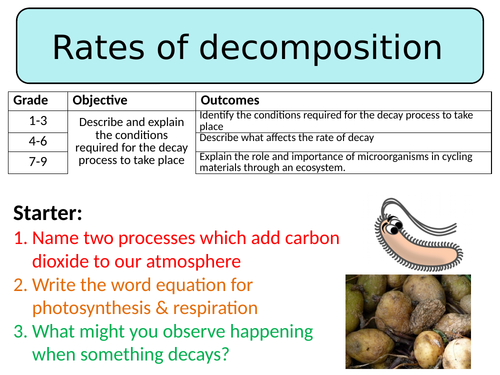 NEW AQA GCSE Trilogy (2016) Biology - Rates of decomposition | Teaching ...