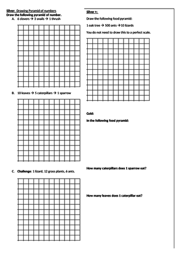 Food Pyramids (OFSTED Lesson Observation) | Teaching Resources