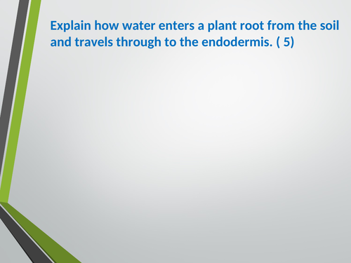 Mass Transport in Plants topic. A Level Biology, AQA, 7401/7402 ...