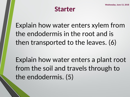 Mass Transport in Plants topic. A Level Biology, AQA, 7401/7402 ...