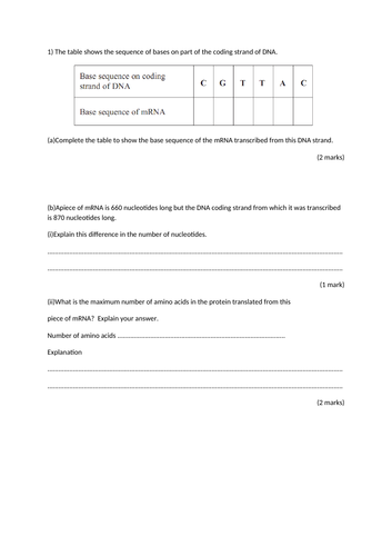 Transcription lesson. A Level Biology, AQA, 7401/7402 | Teaching Resources