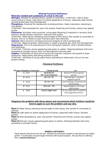 KS3 work sheet on mineral deficiencies in plants | Teaching Resources
