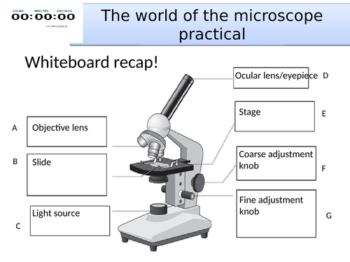 Topic 1 Microscopy and required microscopy practical AQA Trilogy ... Topic 1 Microscopy and required microscopy practical AQA Trilogy ...