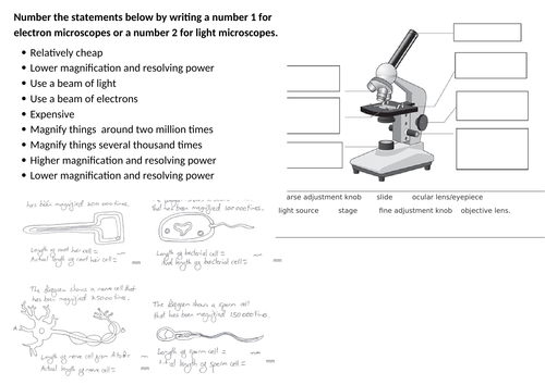 Topic 1 Microscopy and required microscopy practical AQA Trilogy ...