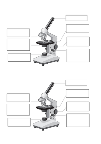 Topic 1 Microscopy and required microscopy practical AQA Trilogy ... Topic 1 Microscopy and required microscopy practical AQA Trilogy ...
