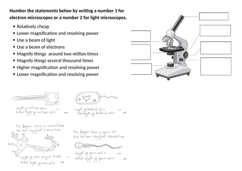 Topic 1 Microscopy and required microscopy practical AQA Trilogy ... Topic 1 Microscopy and required microscopy practical AQA Trilogy ...