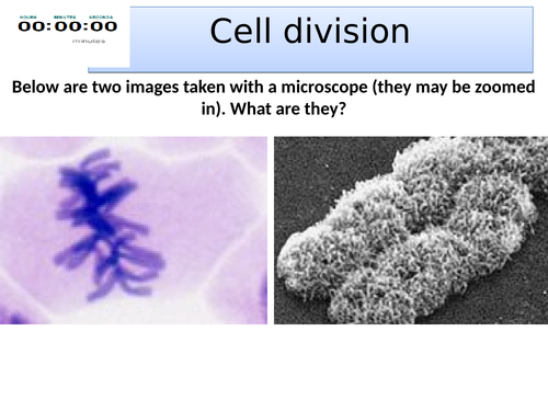 Topic 1 Chromosomes, mitosis and the cell cycle AQA Trilogy | Teaching ...