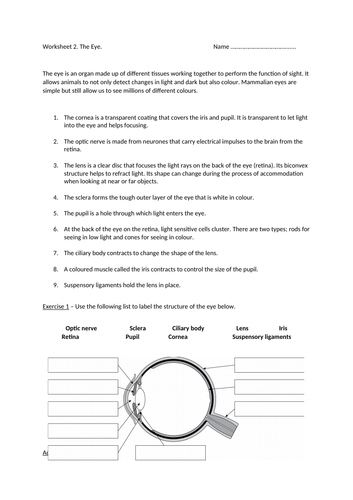 GCSE (Grade 1-9) Biology Revision Worksheets - The brain, The eye ...