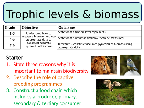 NEW AQA GCSE Trilogy (2016) Biology - Trophic levels & biomass ...