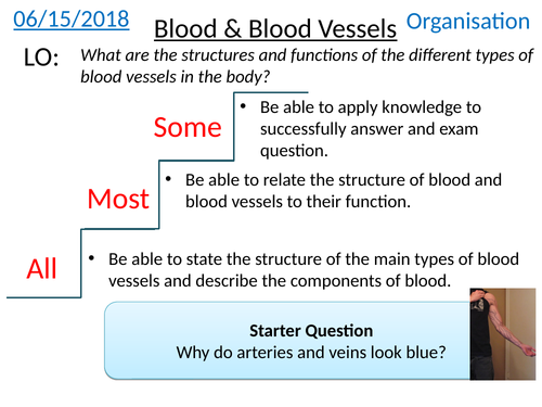 GCSE Biology: blood vessels | Teaching Resources