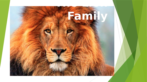 EYFS - THE LION FAMILY - a starter or short activity for 2-5 years ...