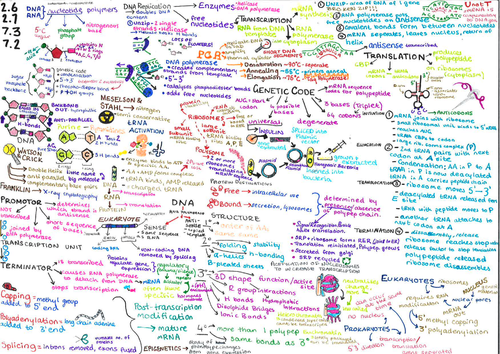 IB HL Biology | Teaching Resources