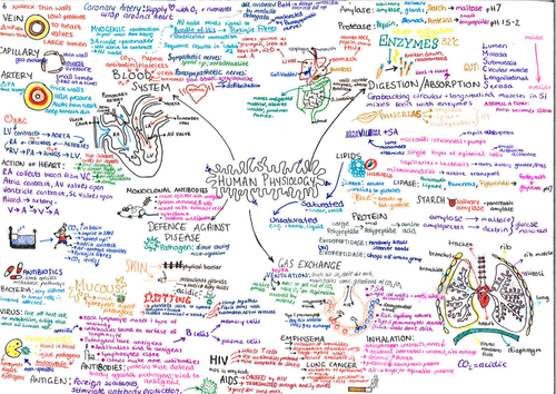 IB HL Biology | Teaching Resources