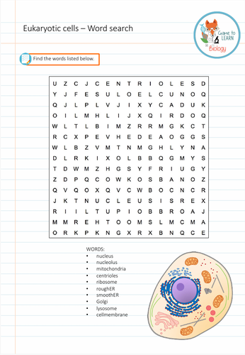 Eukaryotic Organelles - Word search (KS5) | Teaching Resources