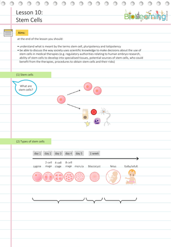 SNAB Biology Topic 3 - Lesson 10 (Stem Cells) - WS, PPT and Loop Game ...