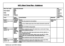 Rainforest SOW - French, primary languages | Teaching Resources