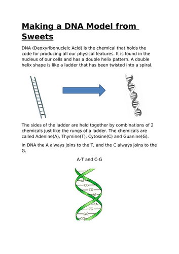 Sweet DNA model | Teaching Resources