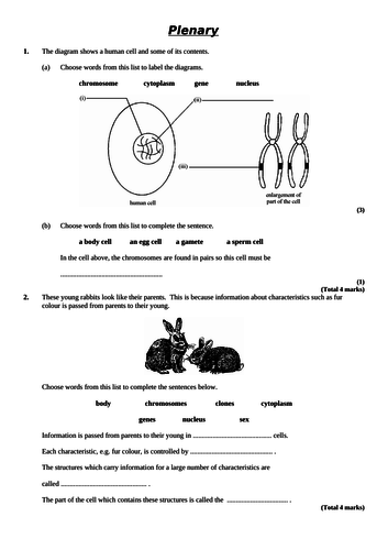 Lesson and resources on genetics KS3 | Teaching Resources